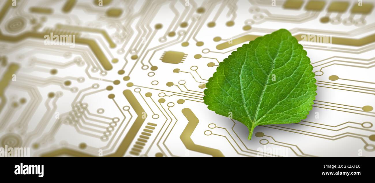 Green Computing, Green Technology, Green IT, csr, and IT ethics Concept ...