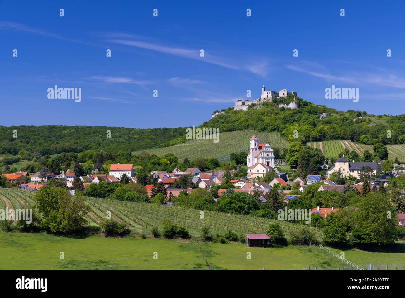 Falkenstein ruins and town with vineyard, Lower Austria, Austria Stock ...