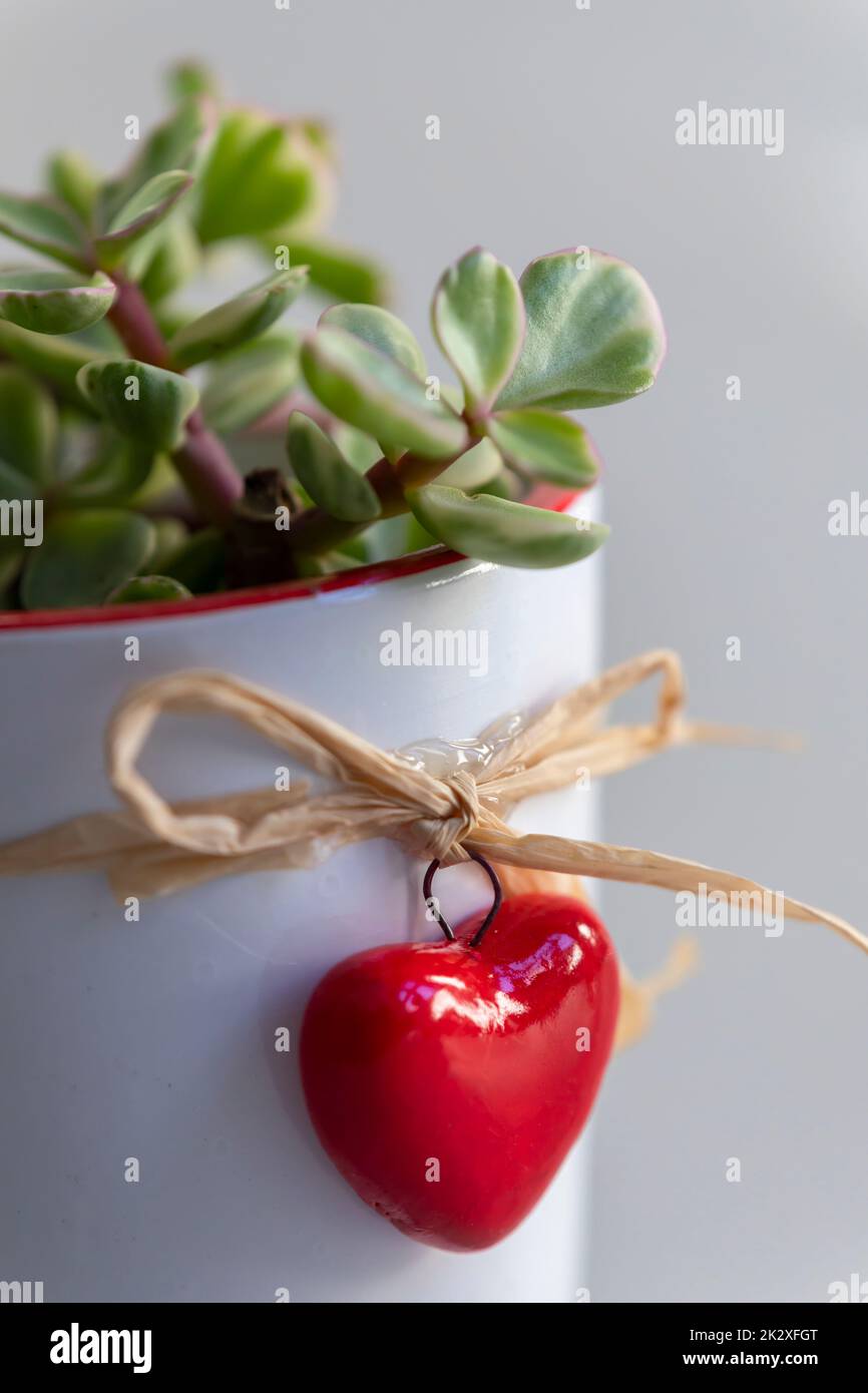 two red hearts on white background Stock Photo - Alamy
