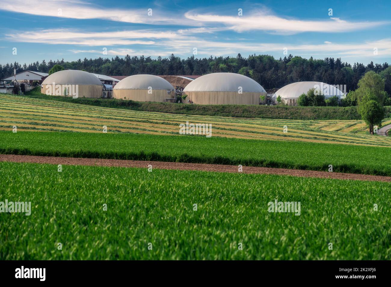 Alternative Energy with Bio Technology Stock Photo - Alamy
