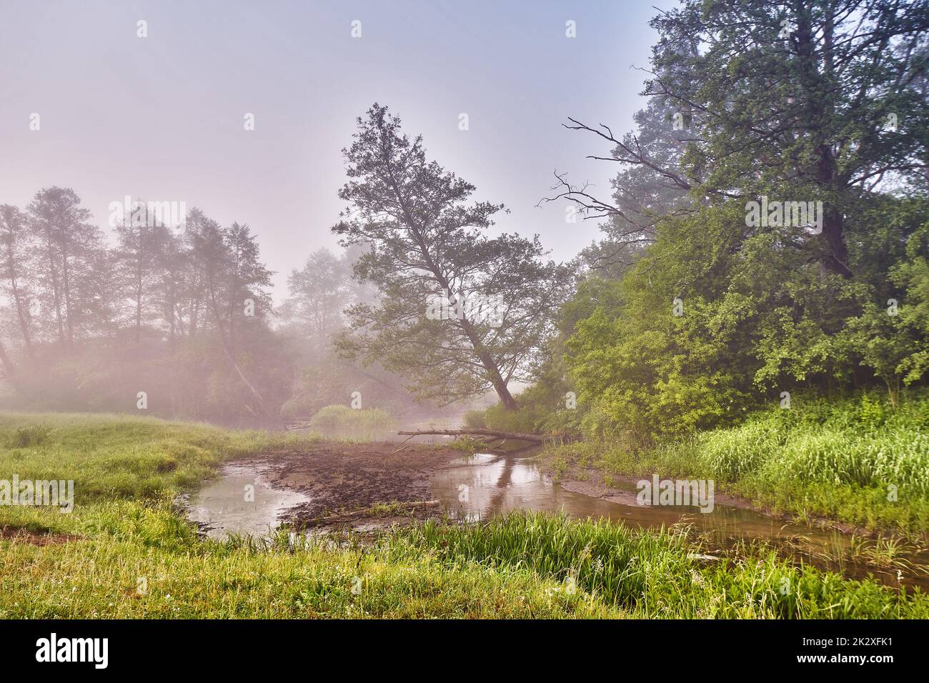 Spring Sunrise landscape. River in picturesque park. Summer foggy calm ...