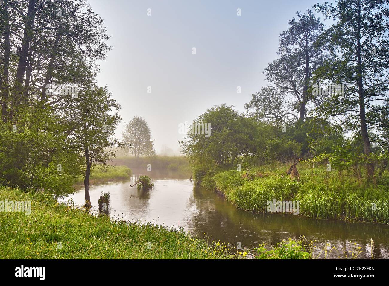 Spring Sunrise landscape. River in picturesque park. Summer foggy calm ...