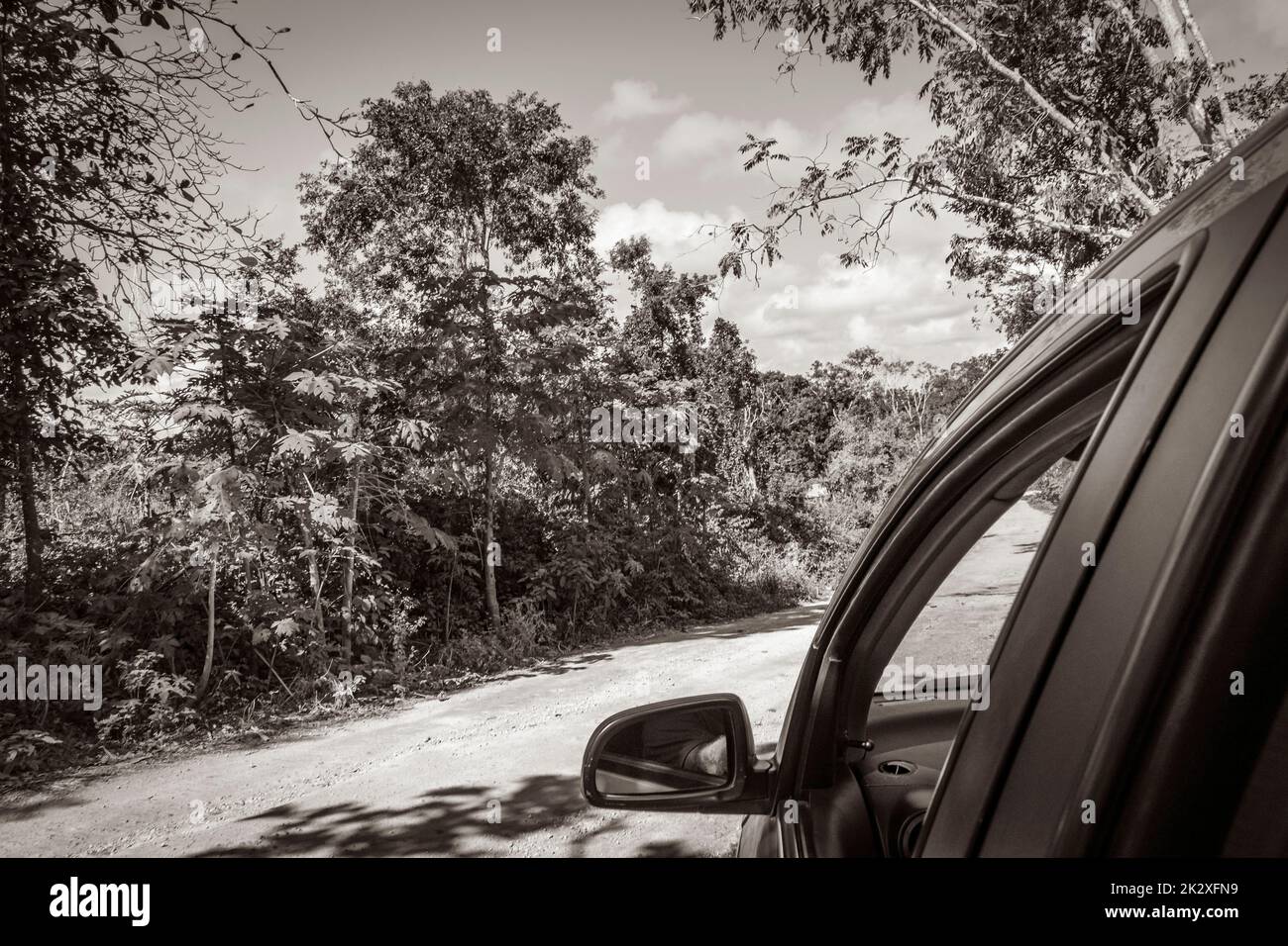 Driving on gravel path road in Tulum jungle nature Mexico Stock Photo ...