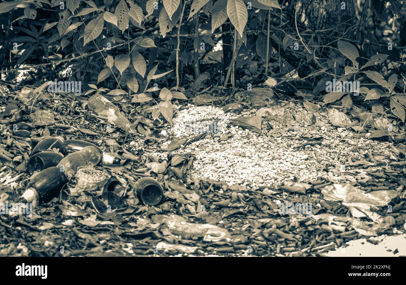 Trash waste garbage in the jungle in Mexico Stock Photo - Alamy