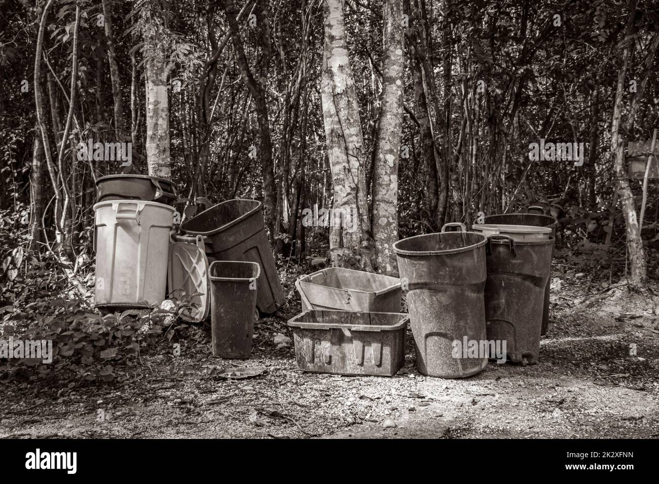 Garbage recycling cans in hi-res stock photography and images - Alamy