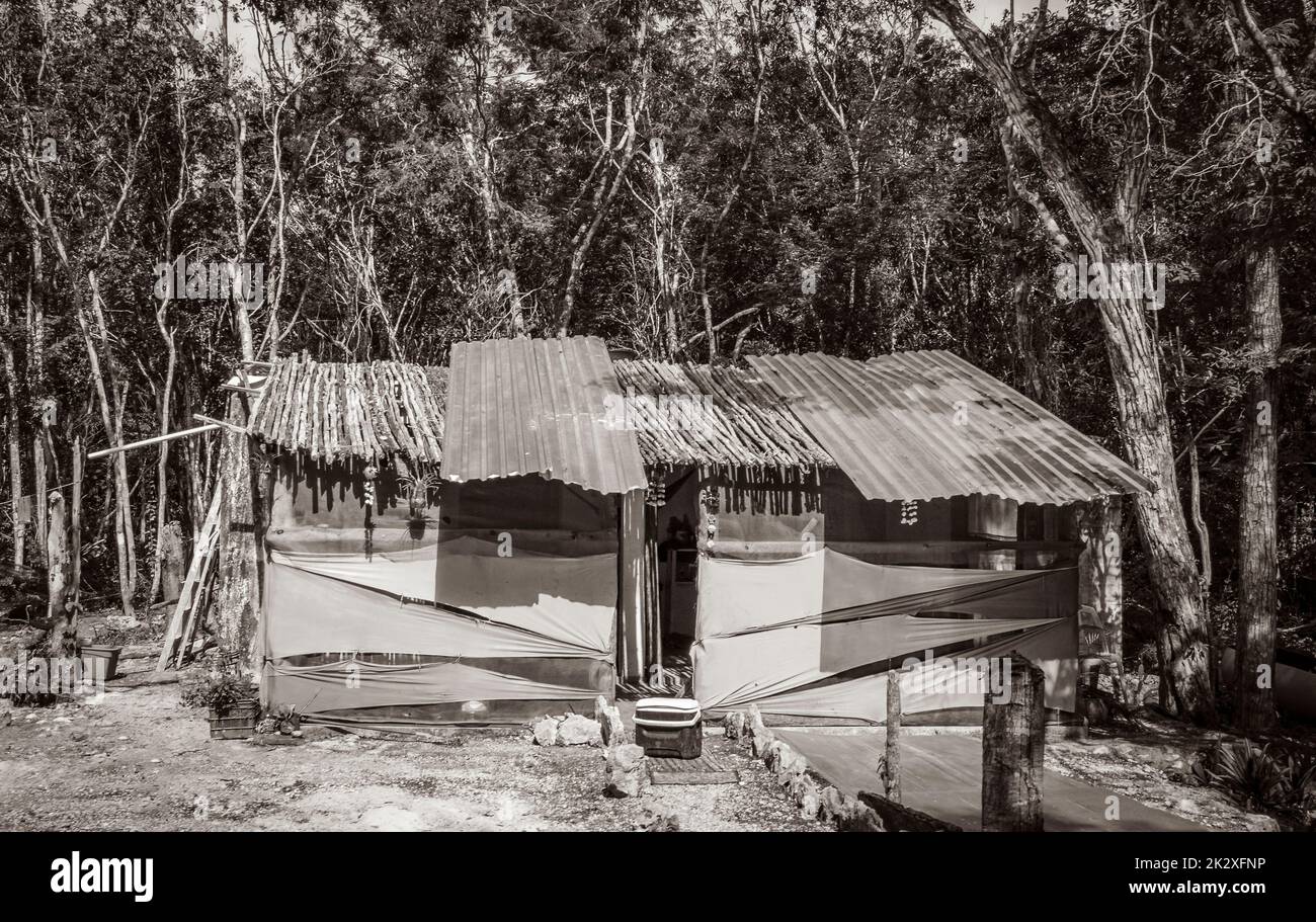 Colorful corrugated iron hut in tropical jungle Mexico Stock Photo - Alamy