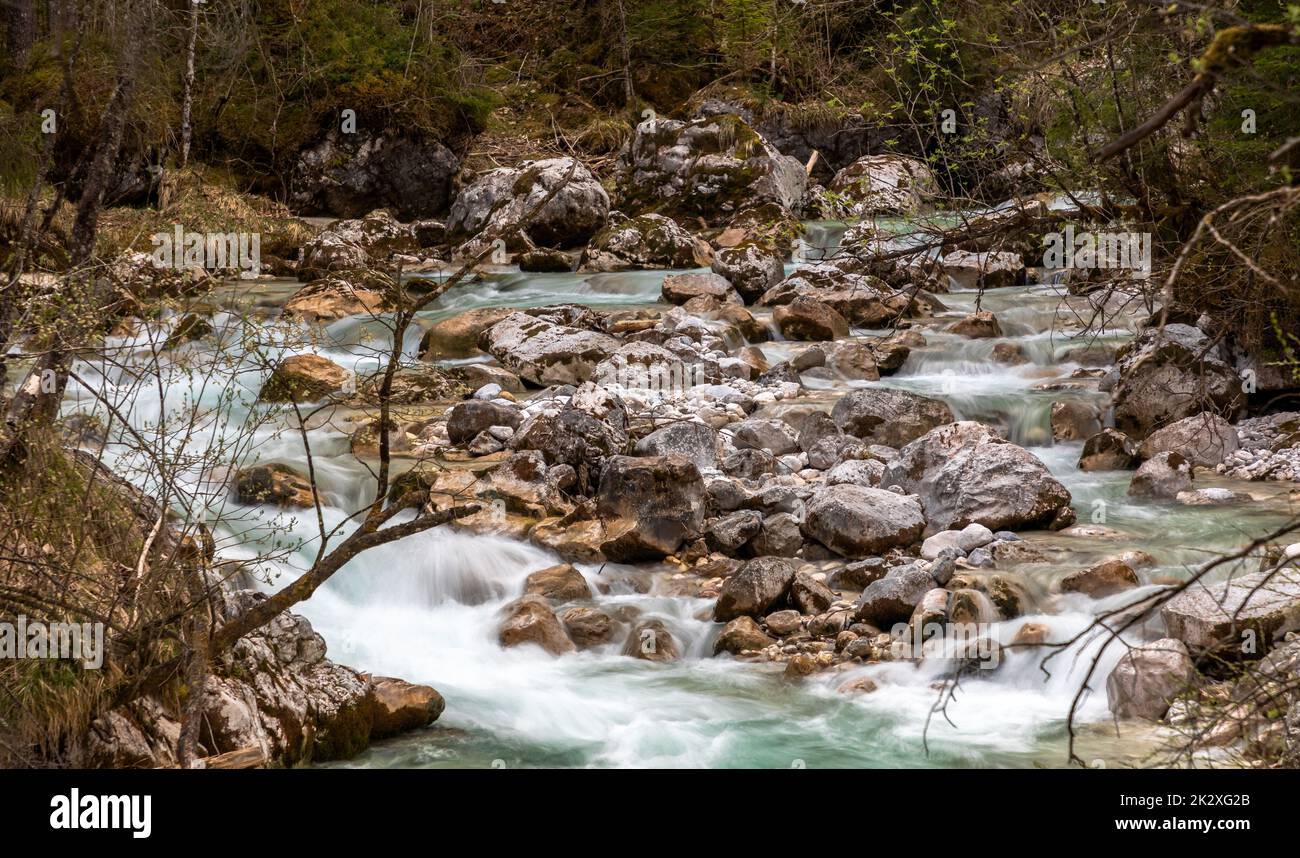 In the Zauberwald, enchanted forest, at lake Hintersee near Ramsau ...