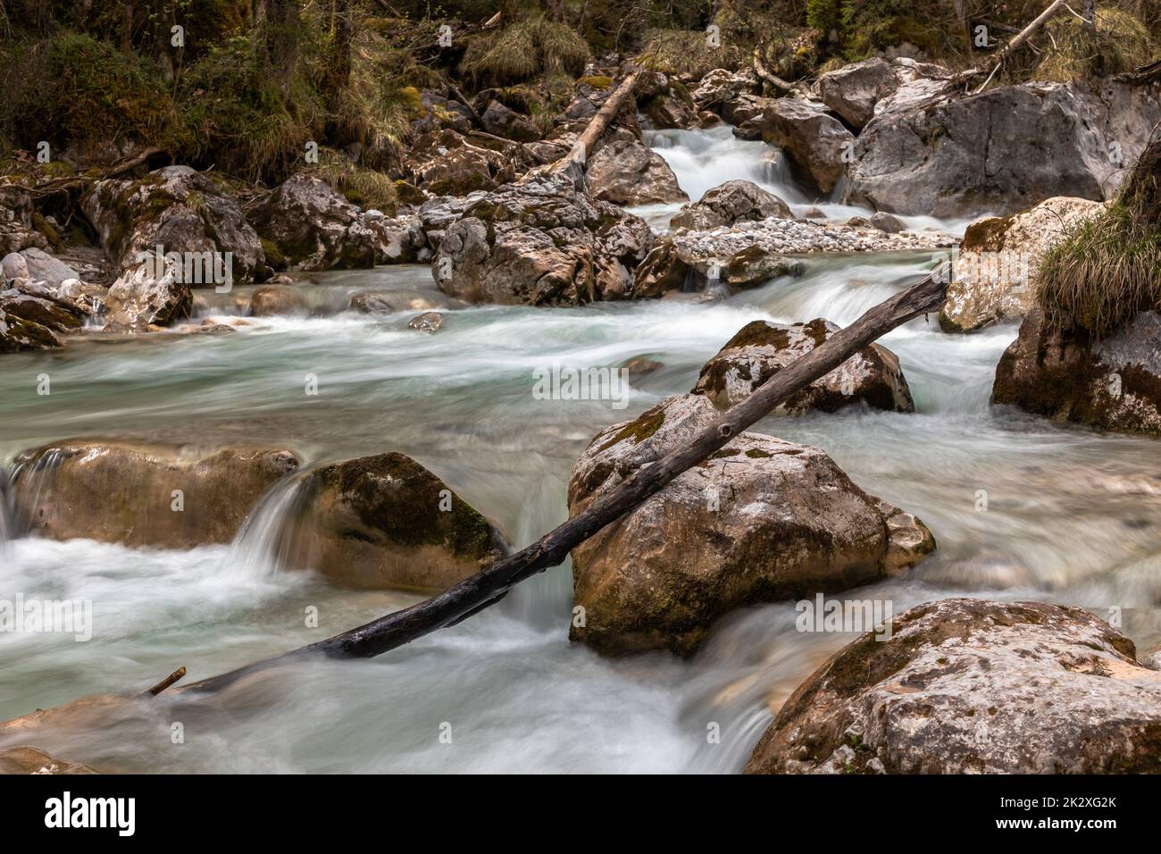 In the Zauberwald, enchanted forest, at lake Hintersee near Ramsau ...
