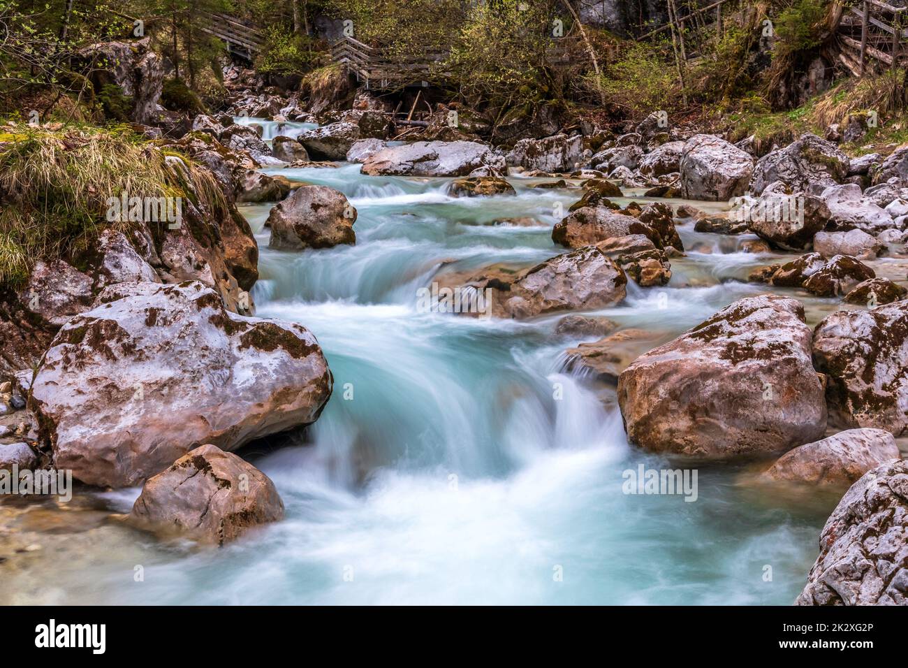 In the Zauberwald, enchanted forest, at lake Hintersee near Ramsau ...