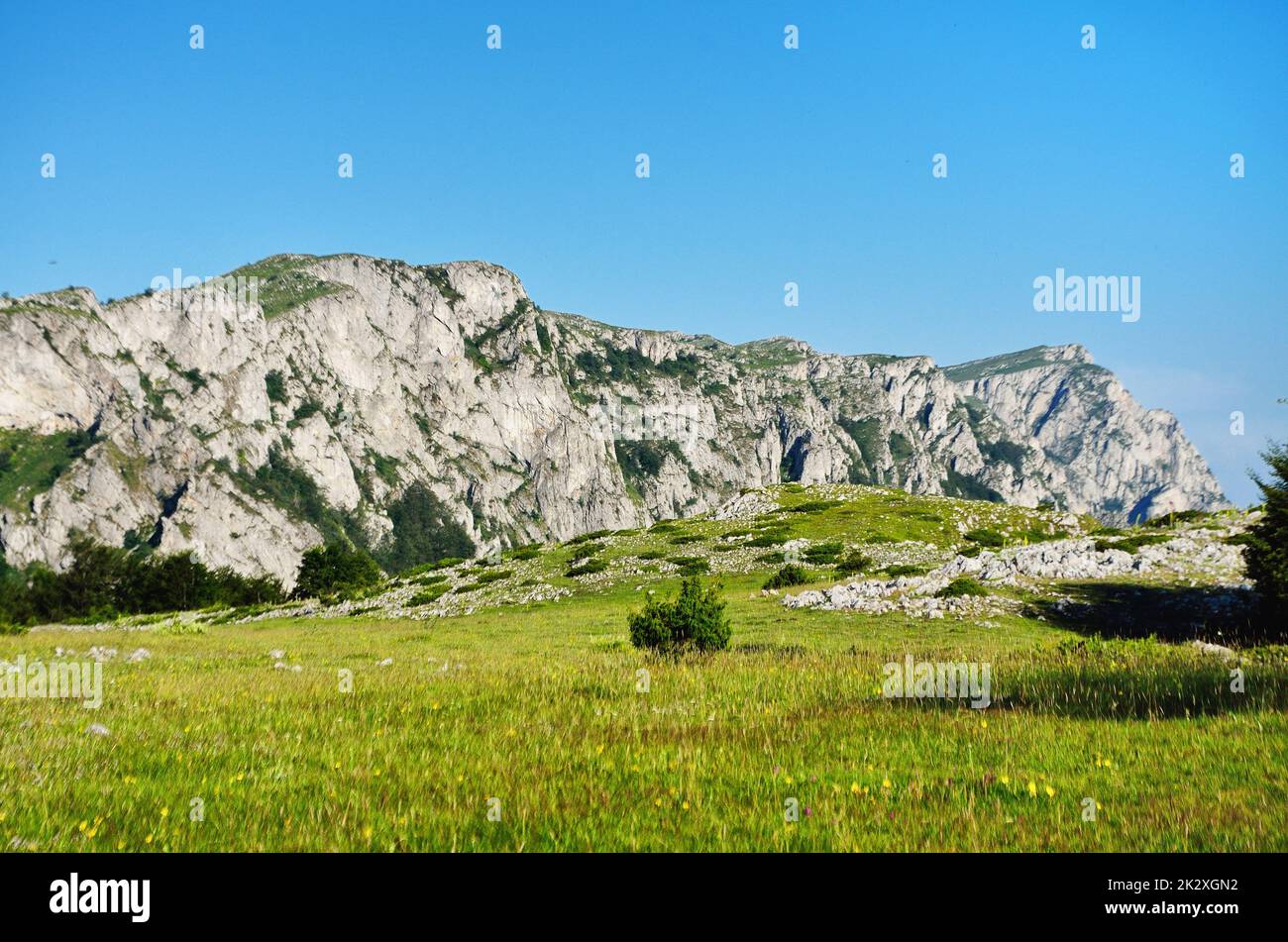 An aerial view of greenery field in background of cliff Stock Photo - Alamy