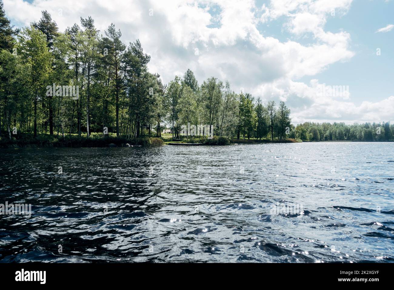 A tranquil river waves captured flowing by a tree line in Unnaryd ...