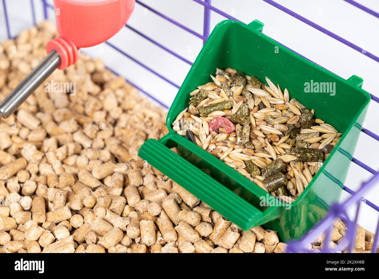 Feeder for guinea pig with food in a rodent cage Stock Photo - Alamy
