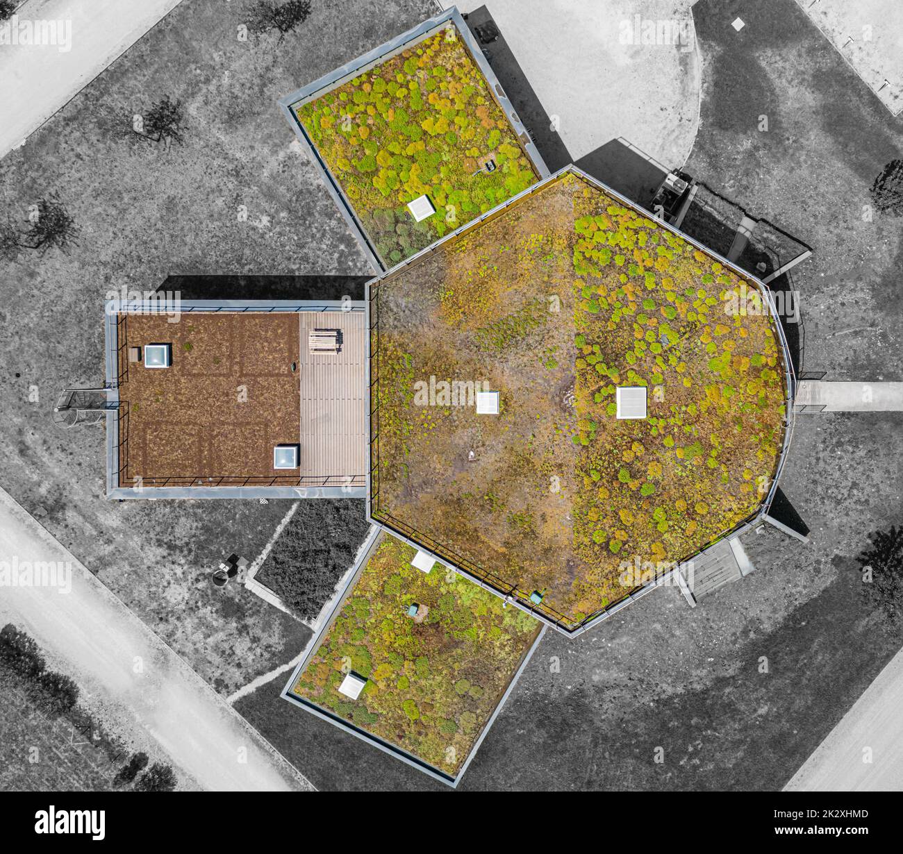 The irregular shape of the building with a landscaped garden on its ...