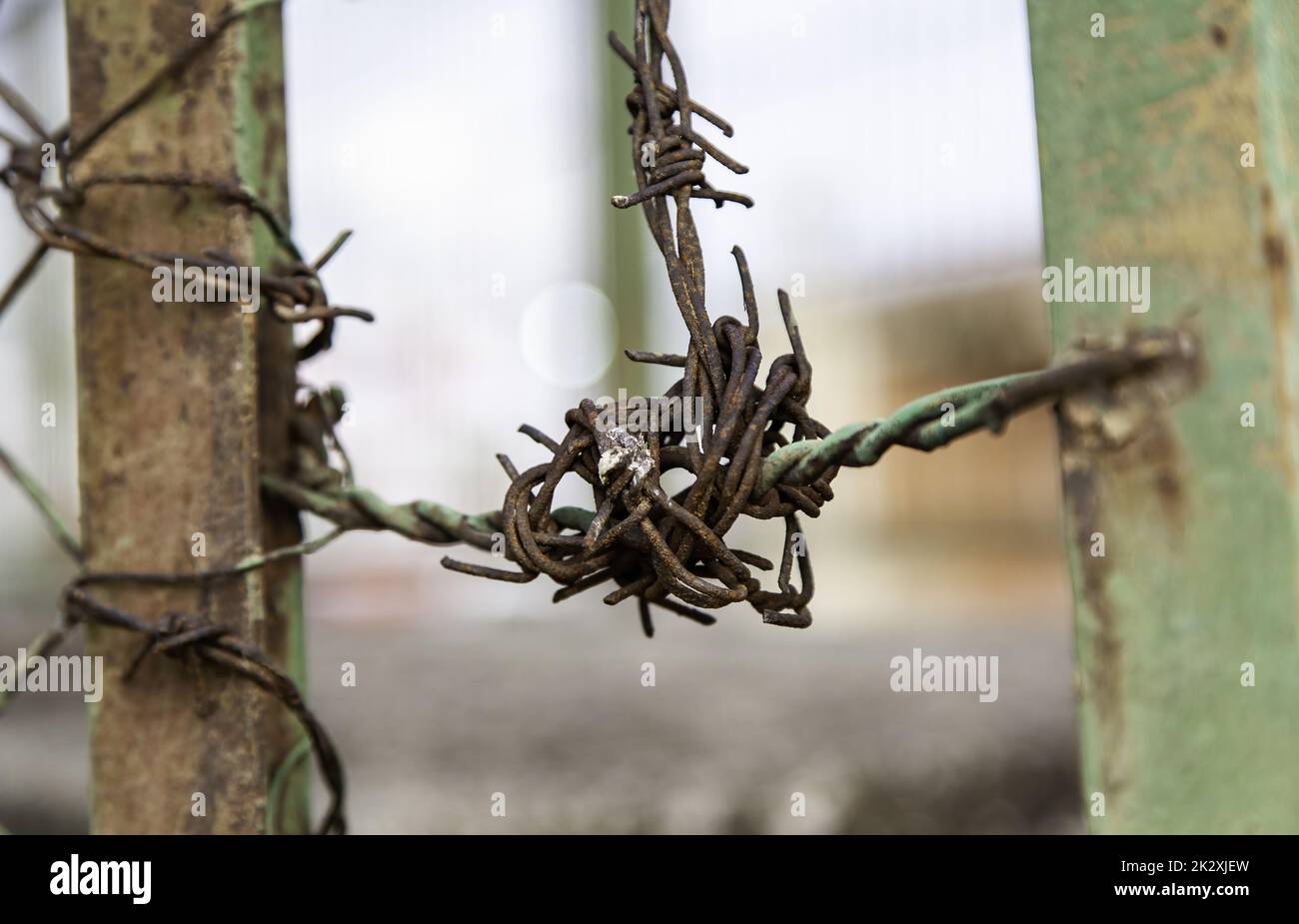 Metallic barbed wire Stock Photo - Alamy