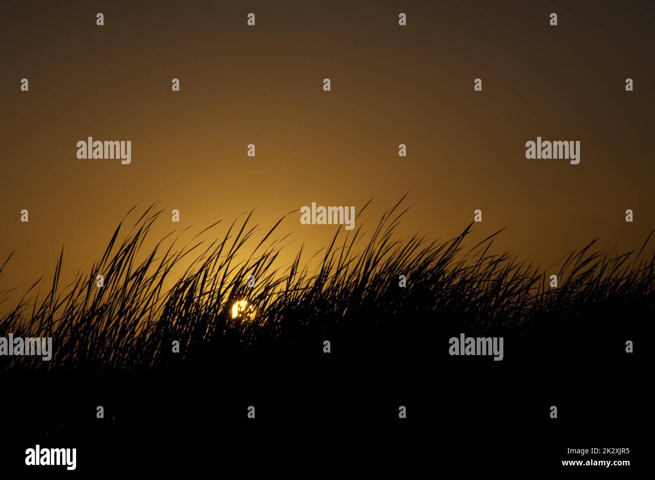 Sunset in the Oiseaux du Djoudj National Park Stock Photo - Alamy