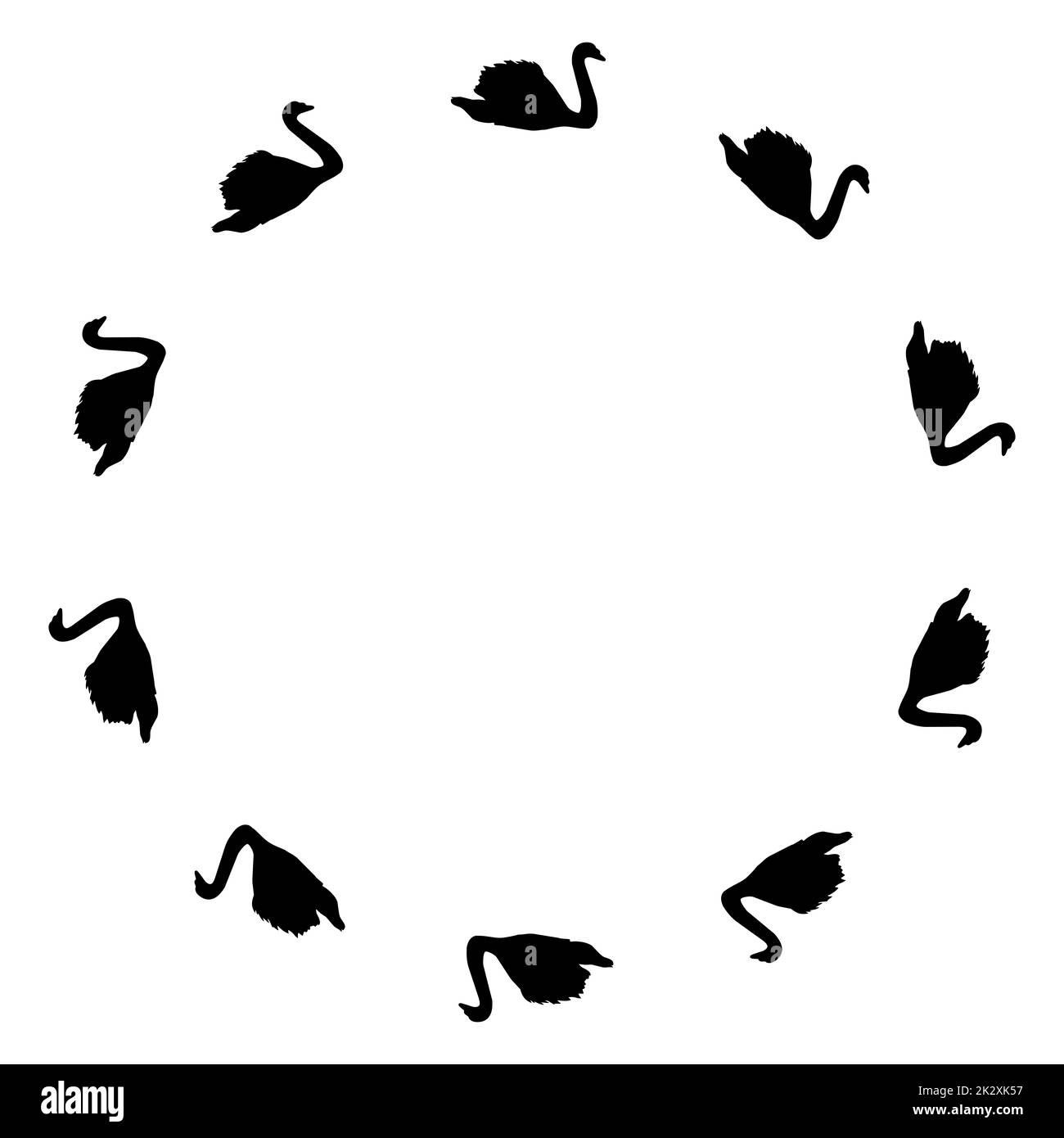 Ten Swan Circular Border Stock Photo - Alamy