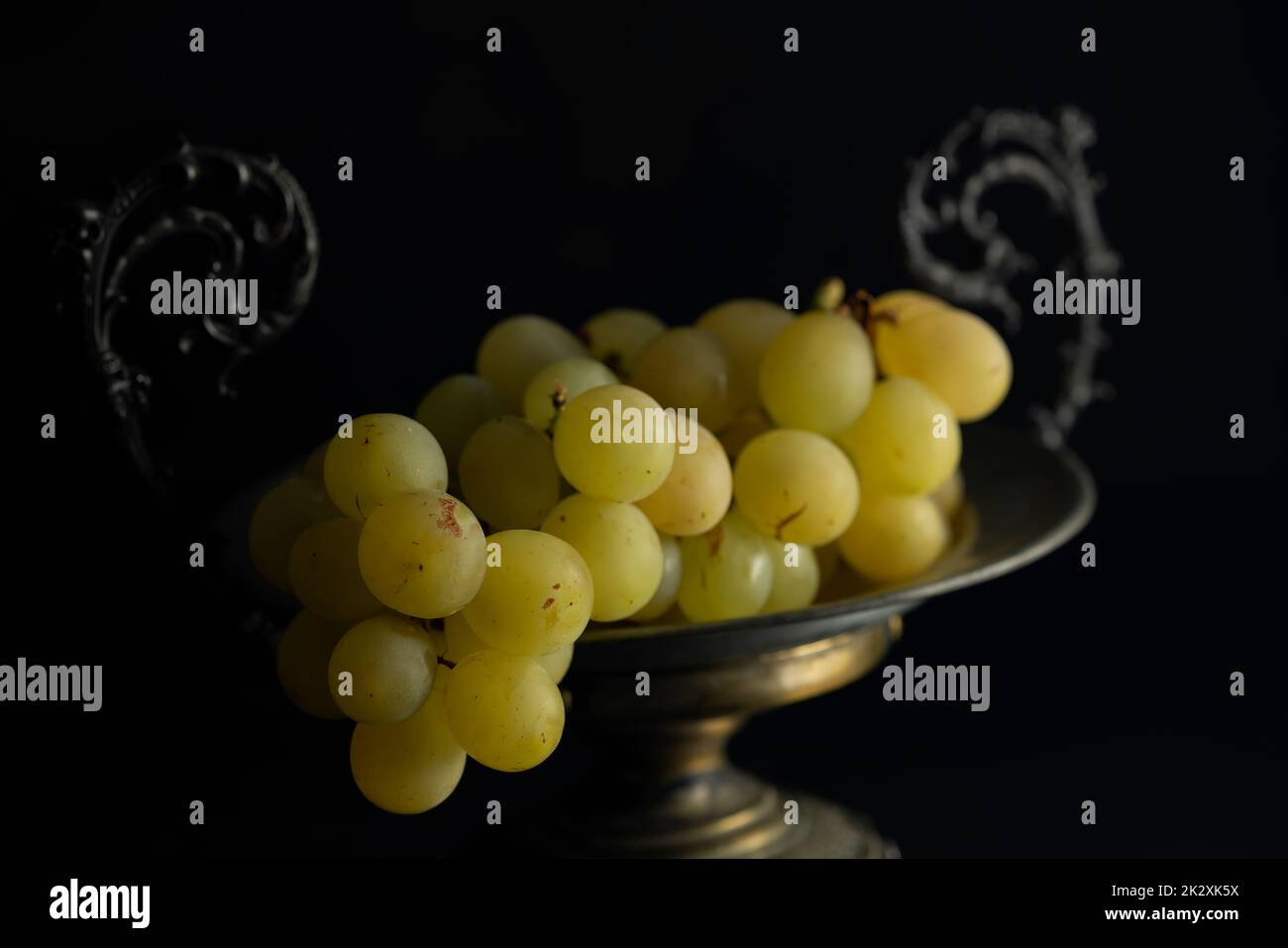 Grape life hi-res stock photography and images - Alamy