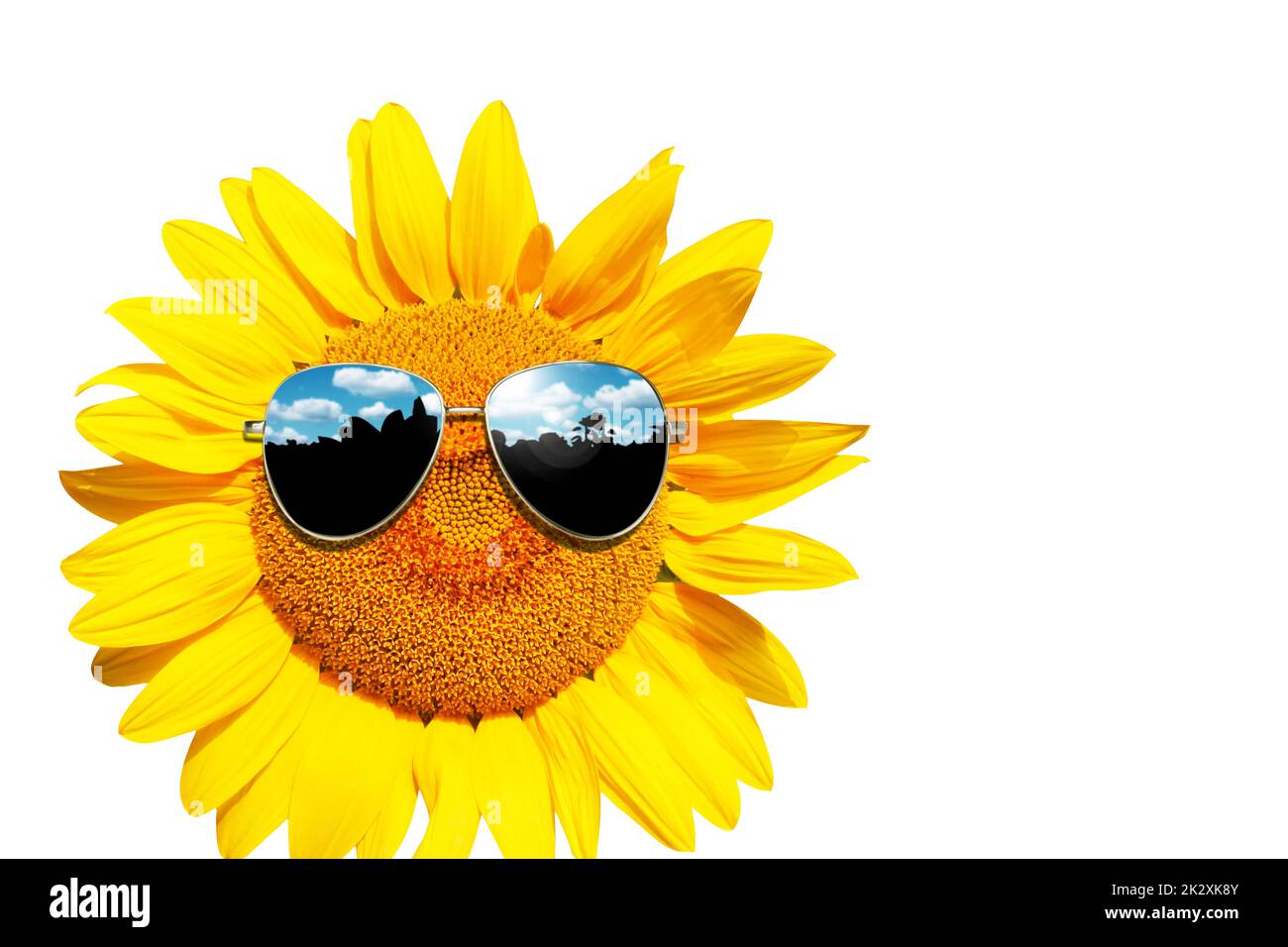 Funny sunflower with sunglasses on a white background Stock Photo - Alamy