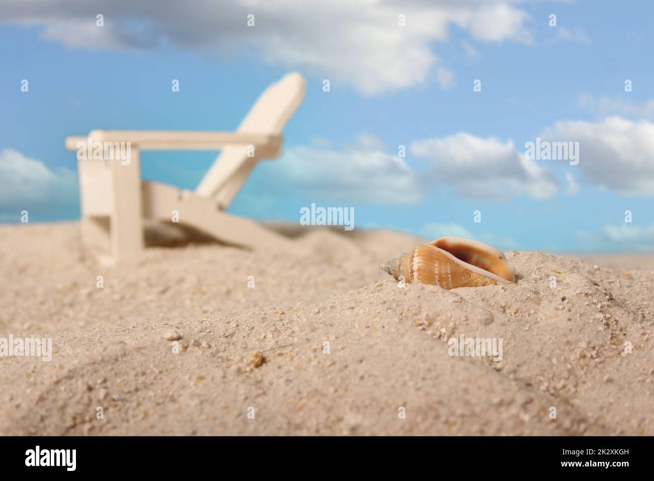 Sea Shell and Beach Chair, Shallow DOF, Focus on Shell Stock Photo - Alamy