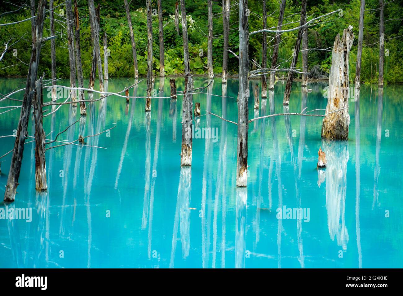 Platinum blue pond (Hokkaido Biei-cho Stock Photo - Alamy