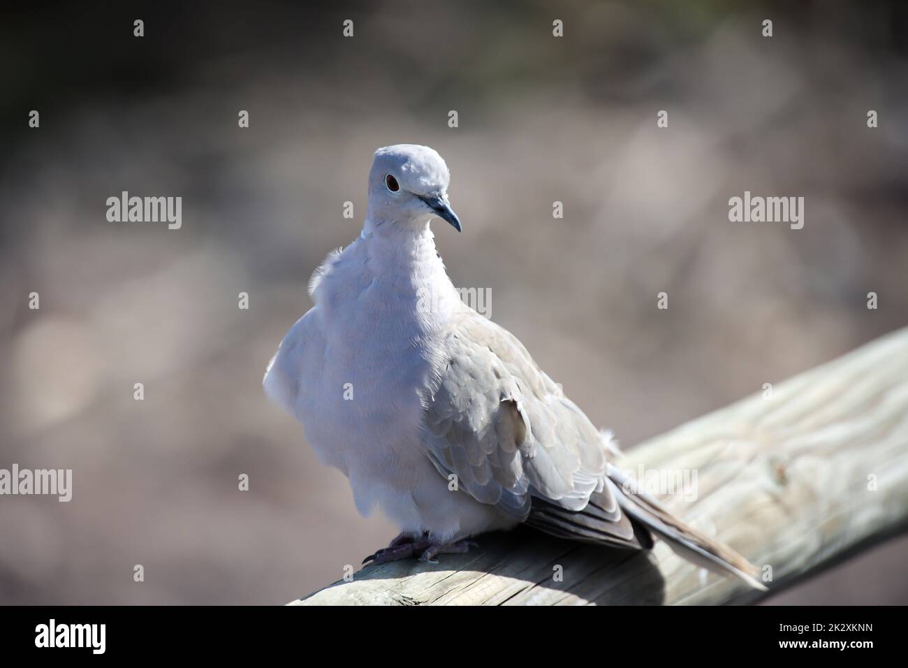 Sense of direction hi-res stock photography and images - Alamy