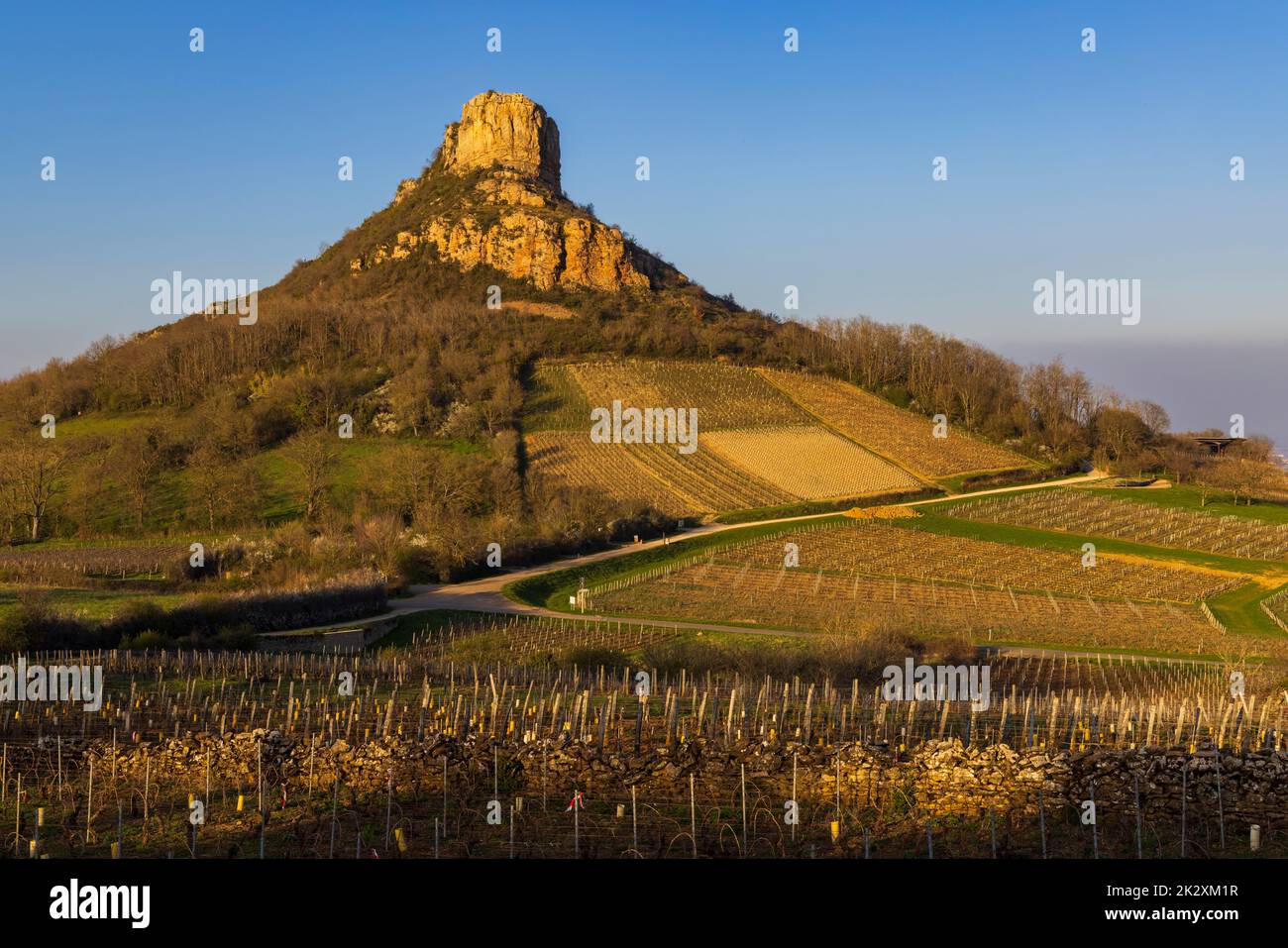 Rock of Solutre with vineyards, Burgundy, Solutre-Pouilly, France Stock ...