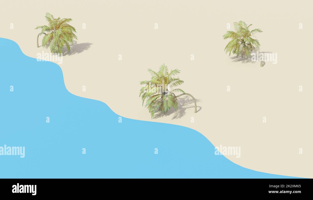Three palm trees on the beach Stock Photo - Alamy