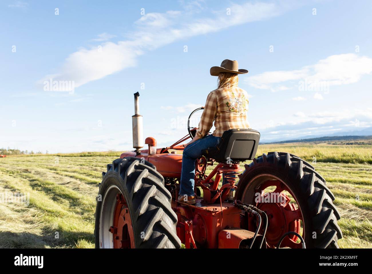 Farmer tractor in field hi-res stock photography and images - Alamy
