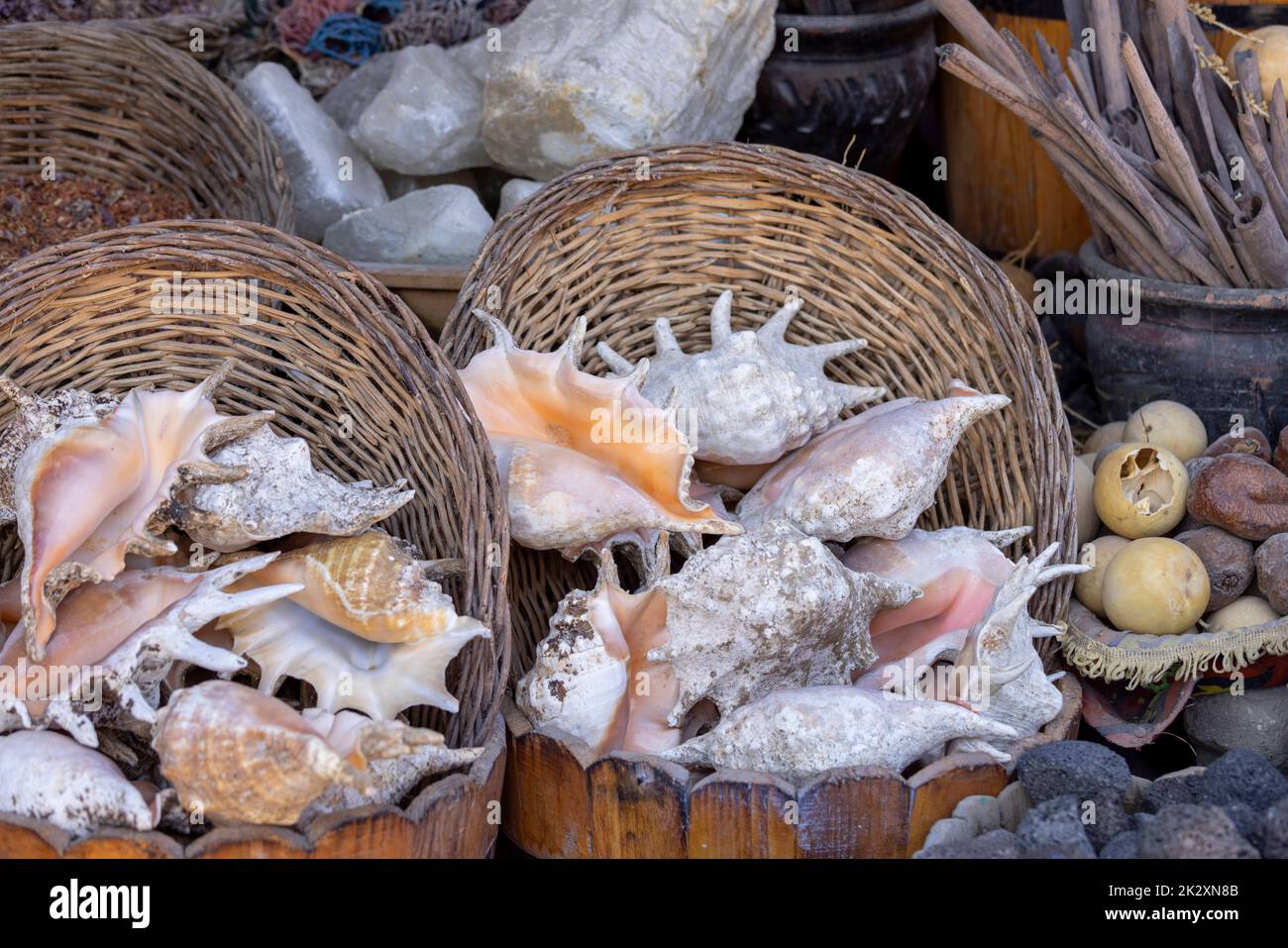Street trade with Red Sea sea shells on main promenade in exotic small ...