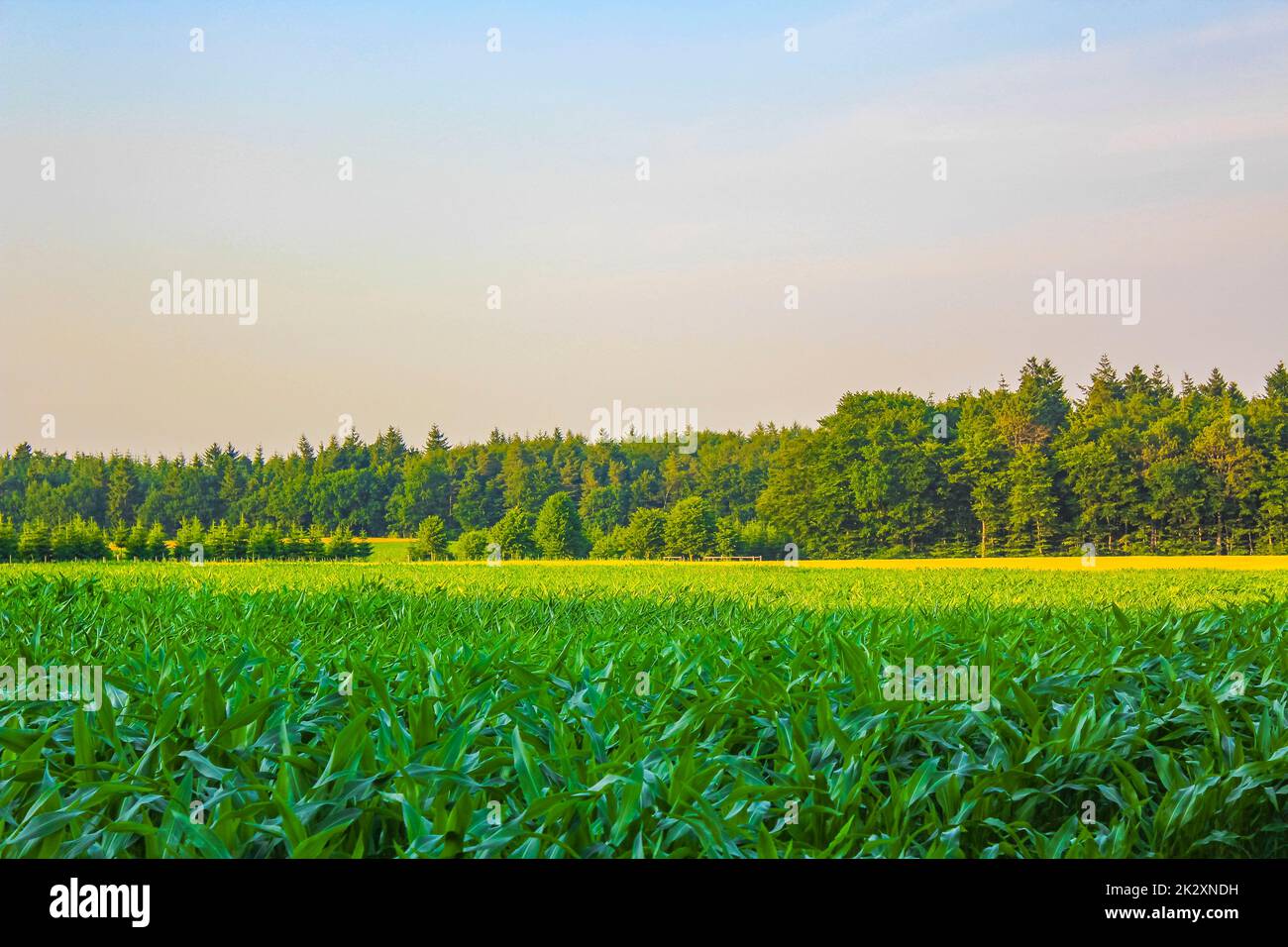 Landscape agricultural field forest hi-res stock photography and images ...