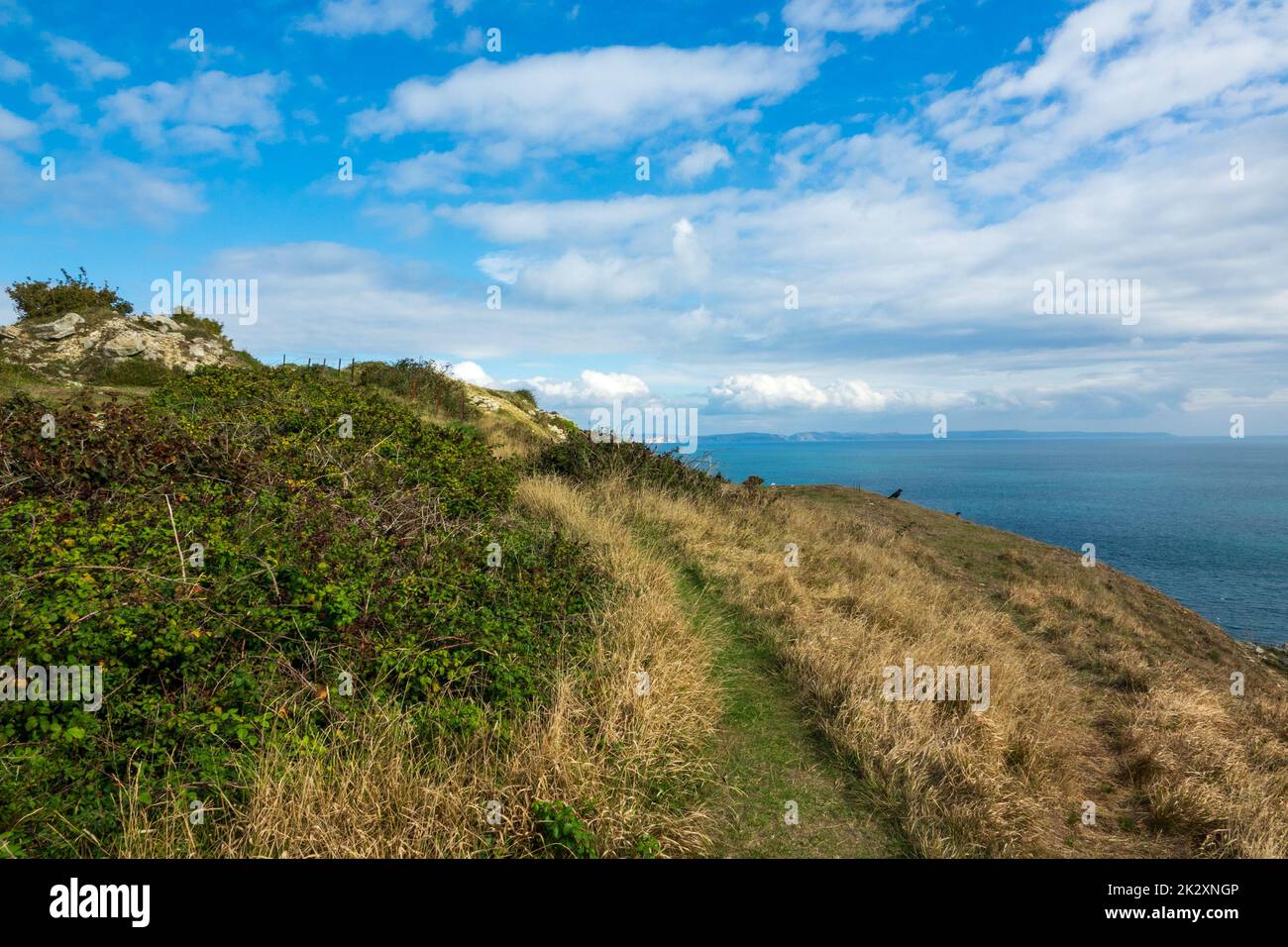 Portland, Coastal path, Shepherds Dinner, Grove Cliff Stock Photo - Alamy
