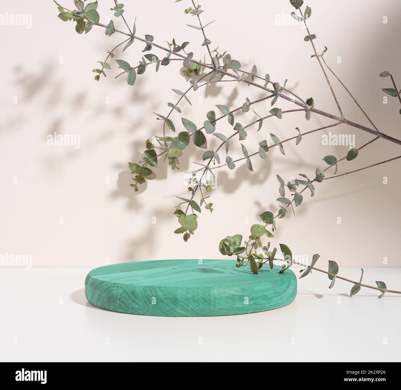 Round green wooden platform and eucalyptus branch on a beige background ...