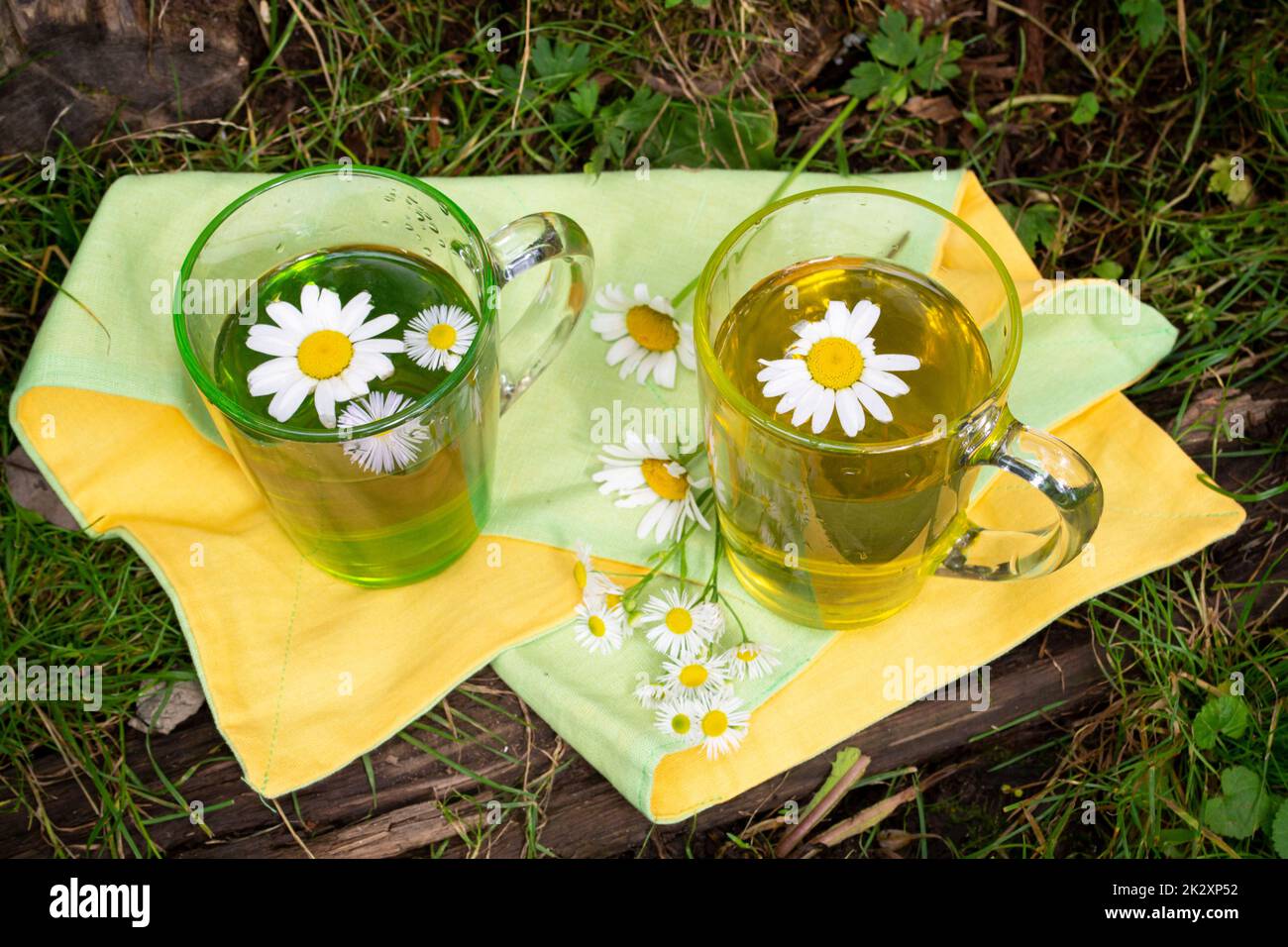 Chamomile tea. Glass cups of chamomile herbal tea with chamomile flower ...