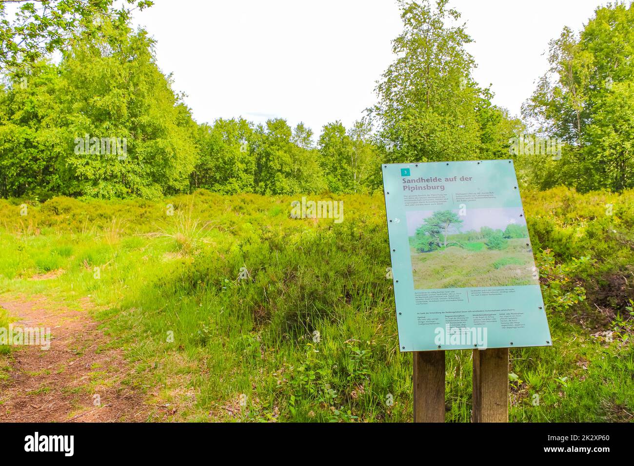 North German information sign board meadow forest grass nature Germany ...