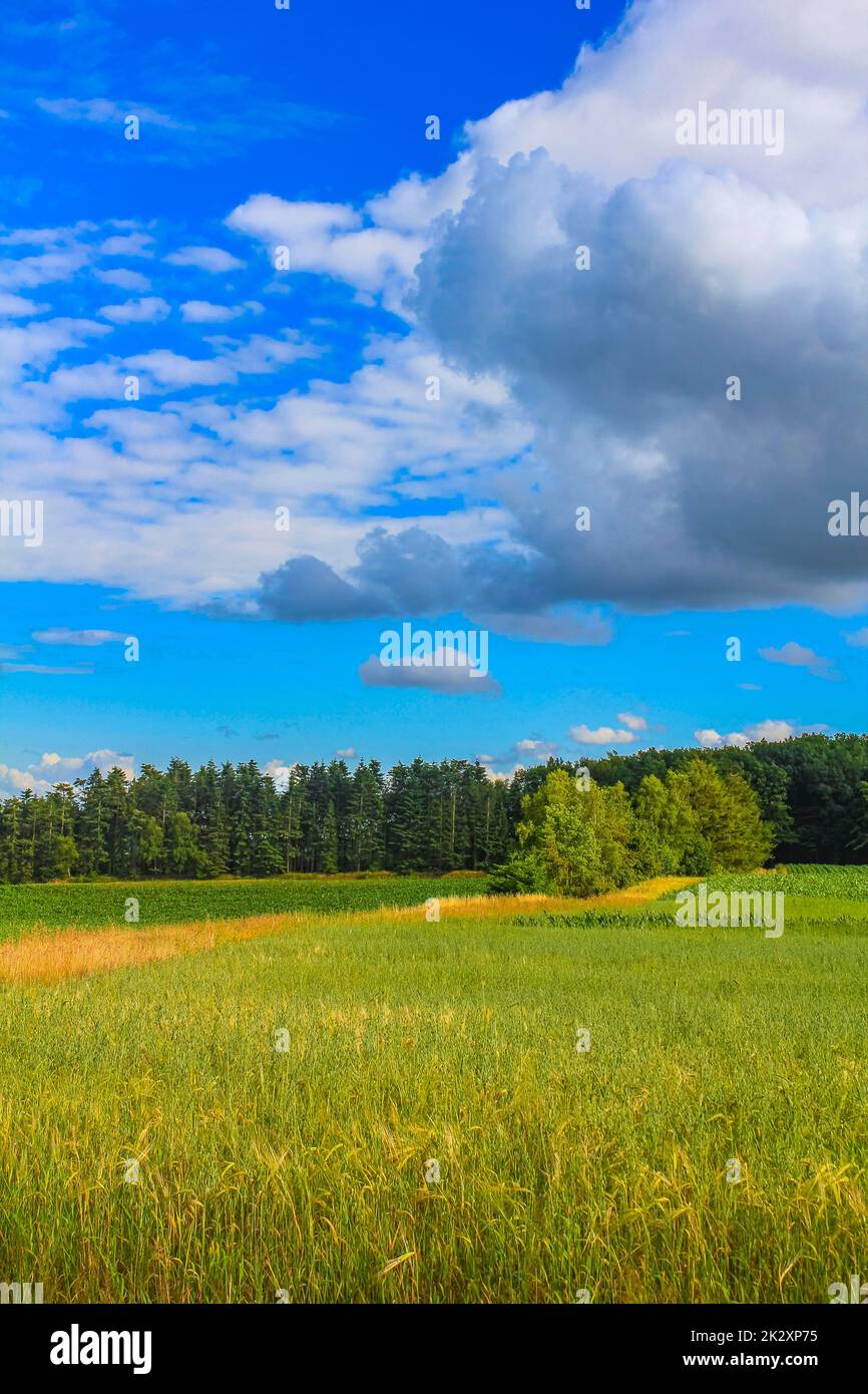 North German agricultural field forest trees nature landscape panorama ...