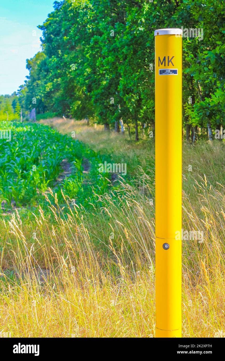 North German agricultural field forest trees nature landscape panorama ...