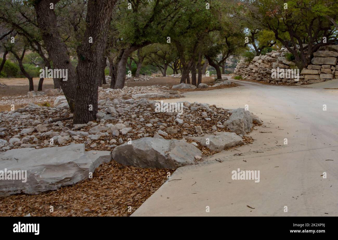 Rock and tree lined driveway made from concrete Stock Photo - Alamy