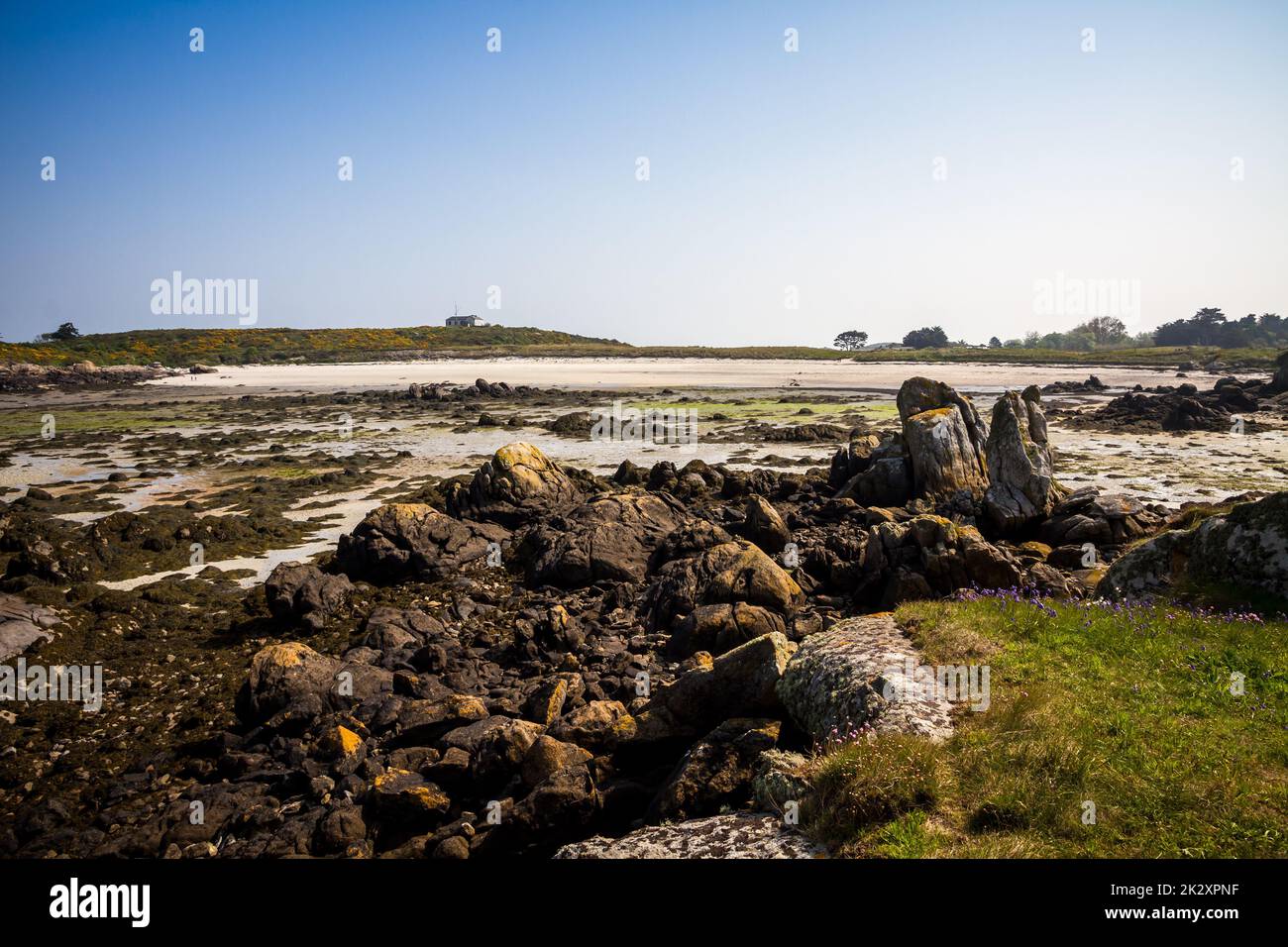 Chausey island Brittany, France Stock Photo - Alamy
