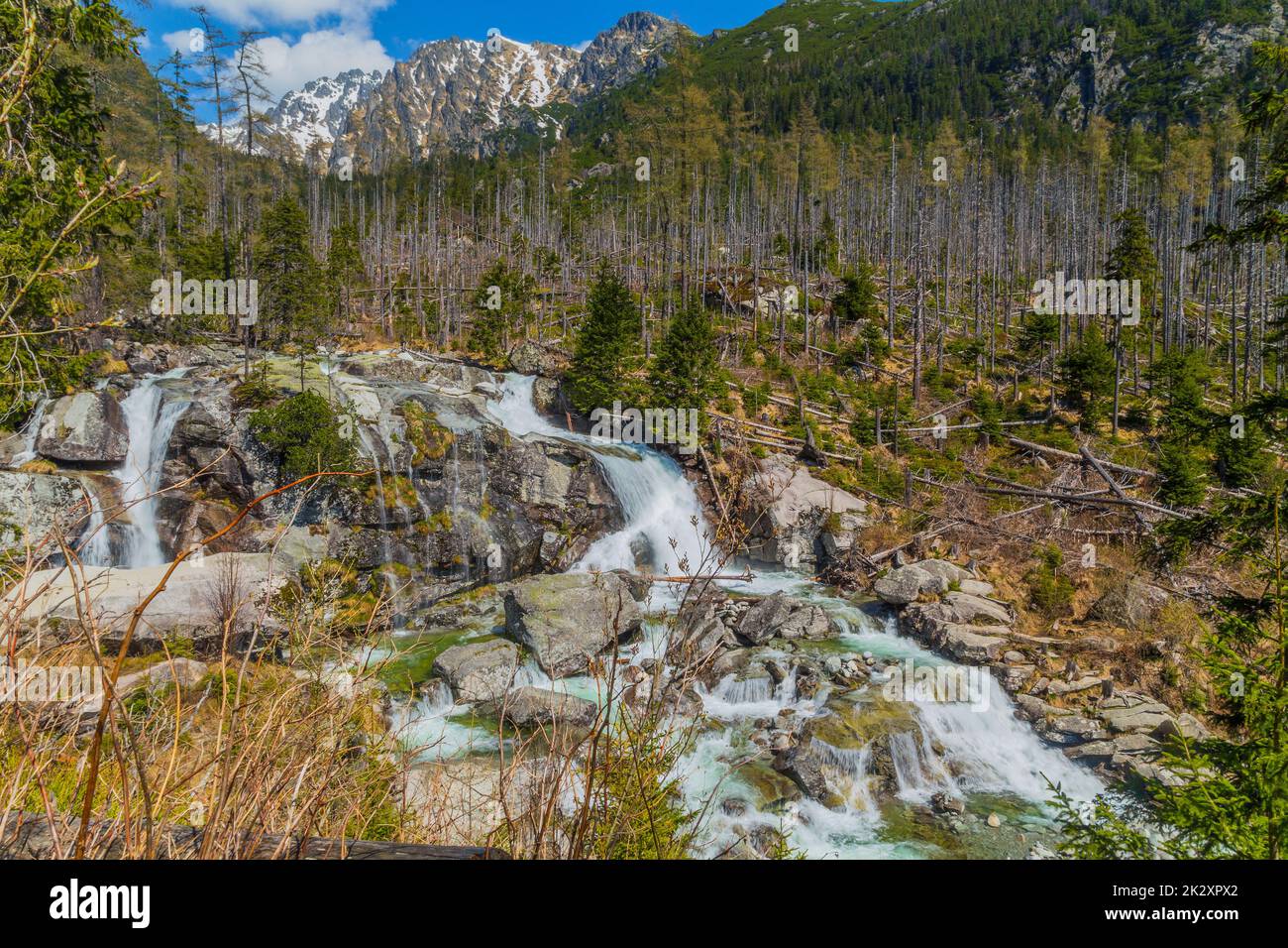 Waterfall in High Tatras mountains Stock Photo - Alamy