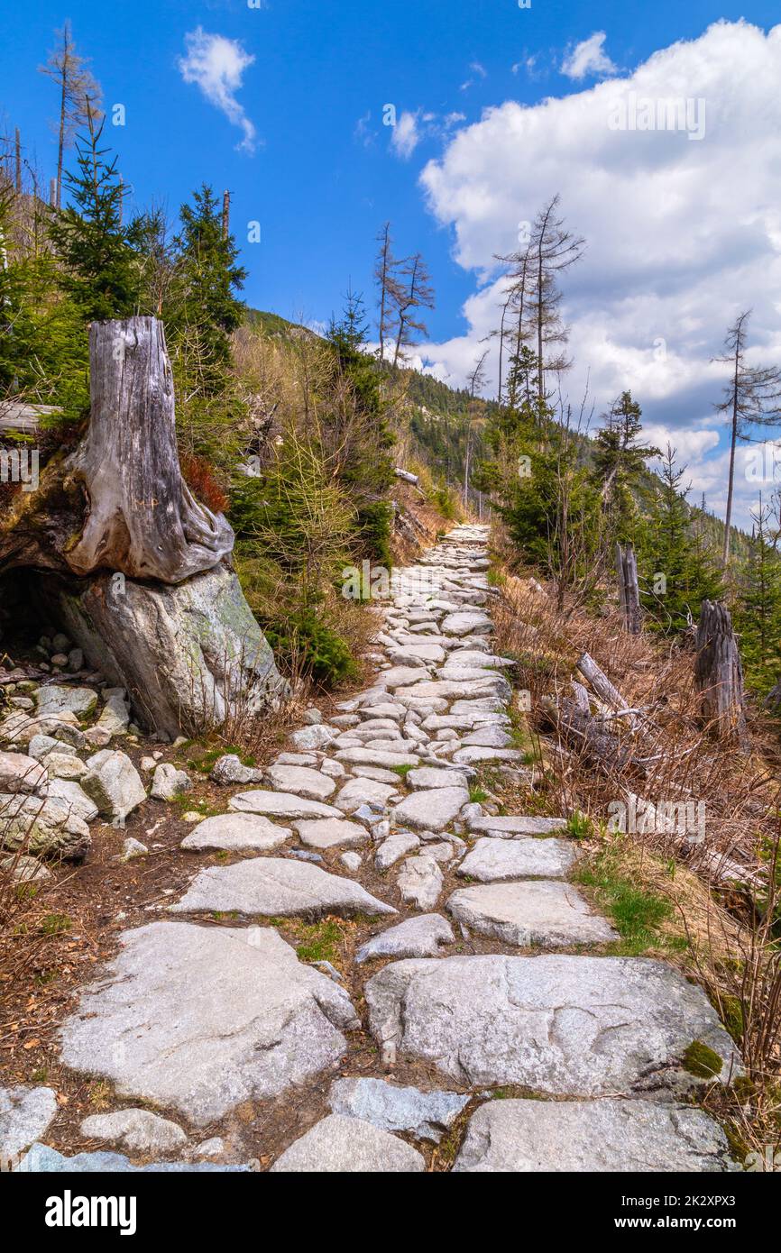 Beautiful view high tatra hi-res stock photography and images - Alamy