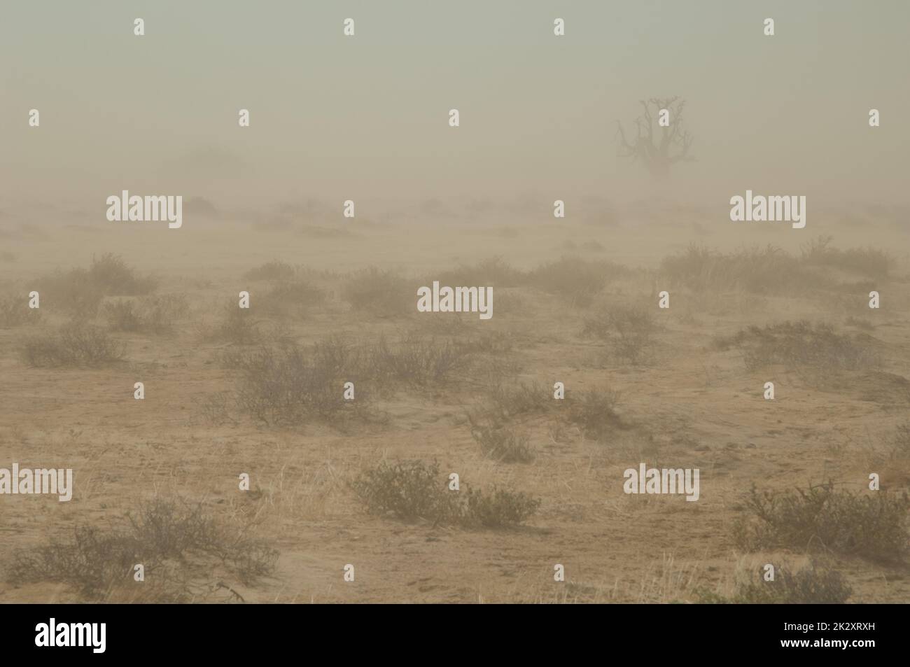 Dust storm in the Oiseaux du Djoudj National Park Stock Photo - Alamy