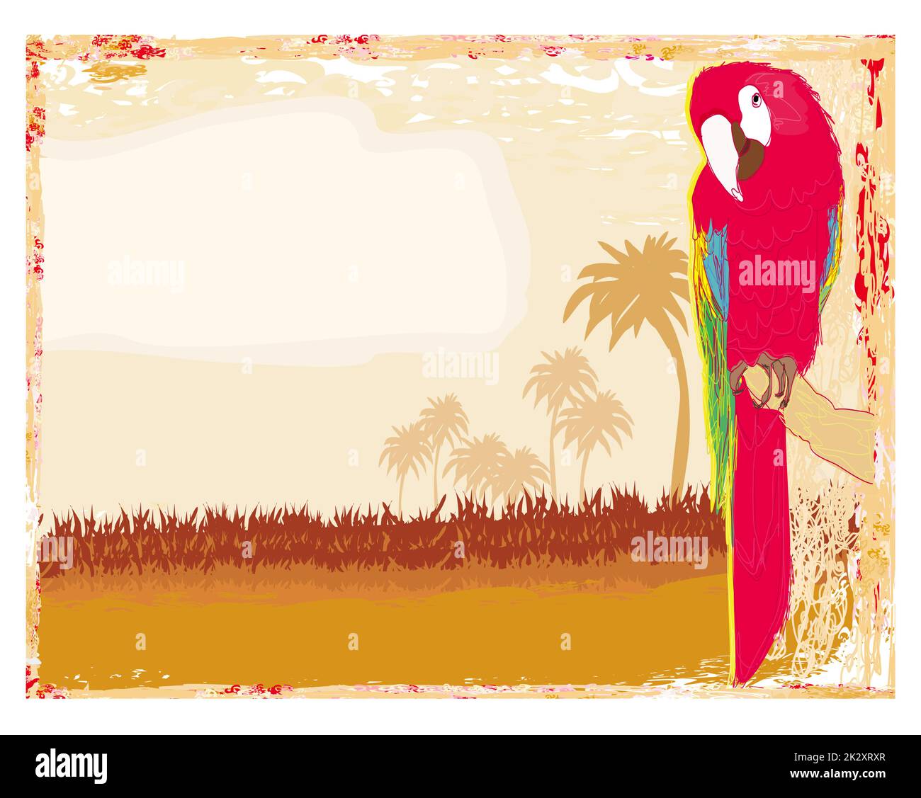 Beautiful parrot bird sitting on Cut Out Stock Images & Pictures - Alamy