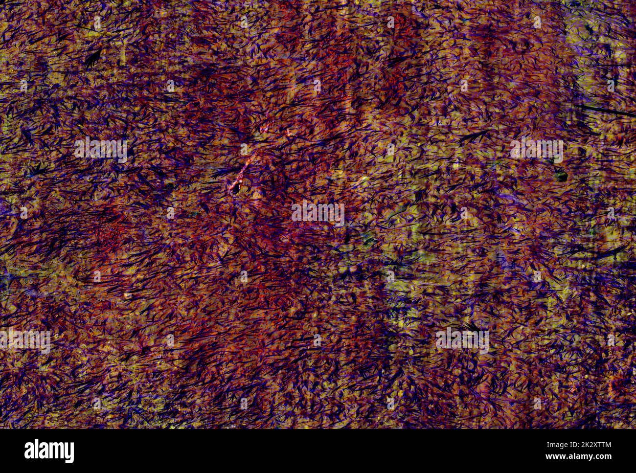 Abstract multicolor background with natural texture and irregular ...