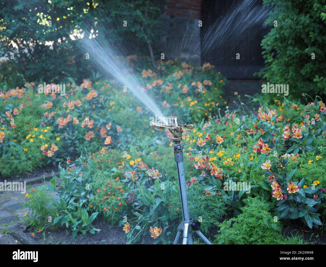 irrigation sprinkler device Stock Photo - Alamy