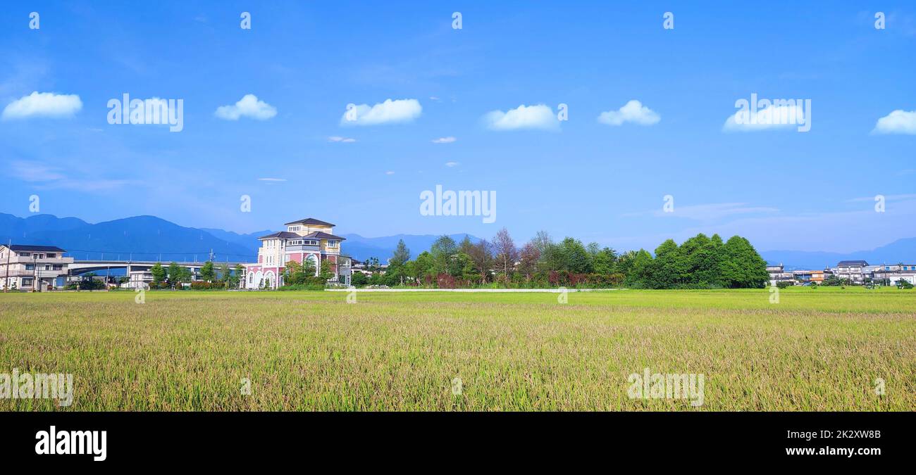 The Landscape View Of Beautiful Paddy Field With Sunrise At Brown ...