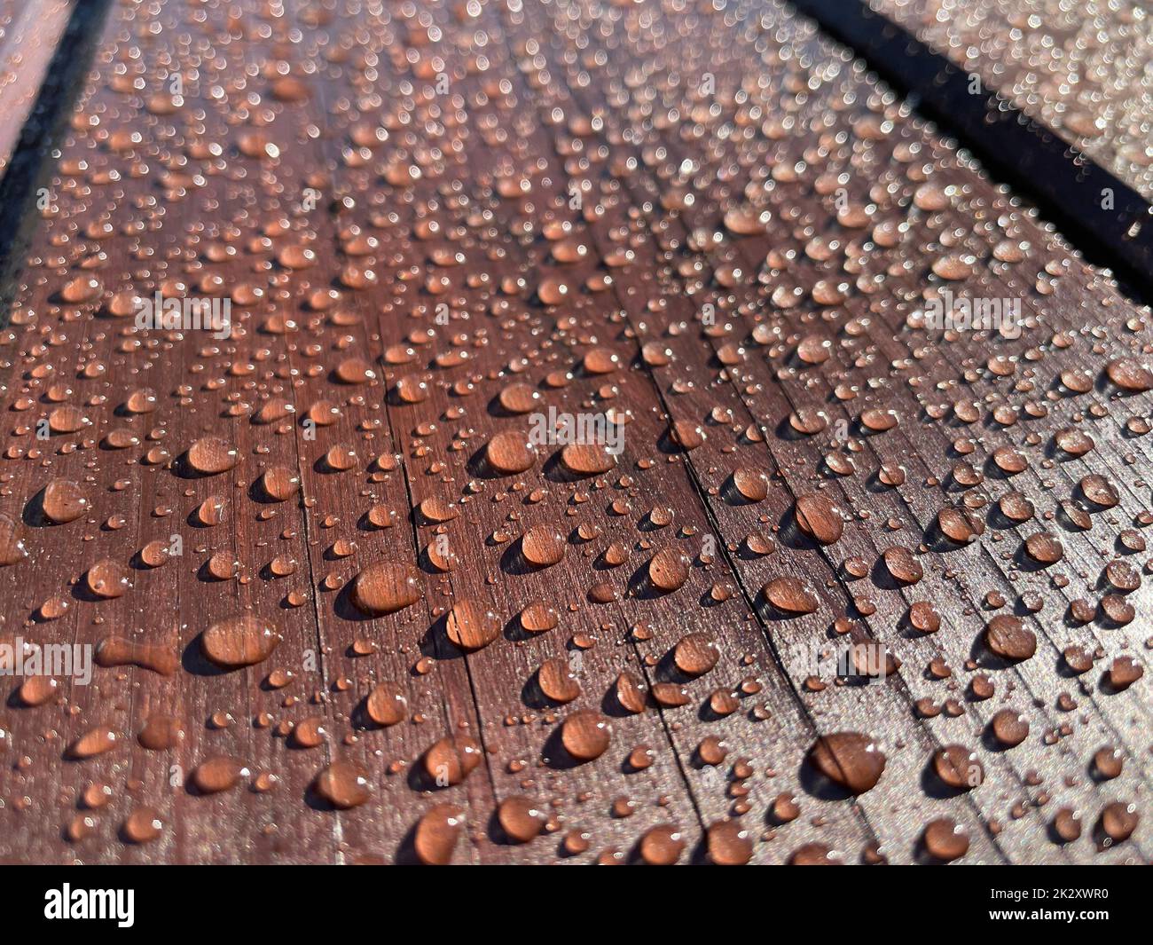 Many drops of water on a dark tree Stock Photo - Alamy