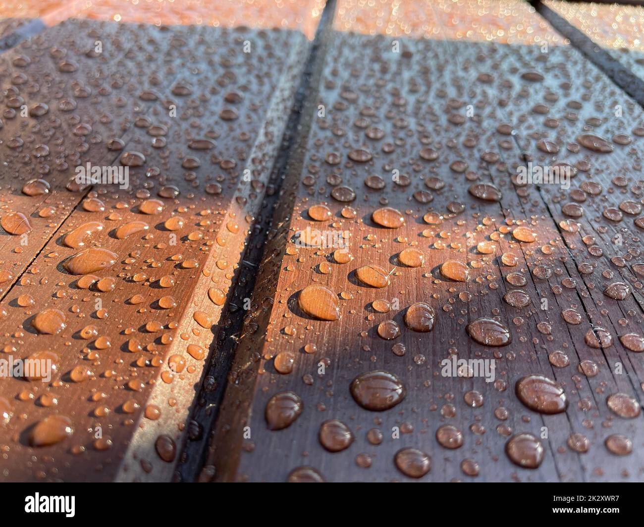 Many drops of water on a dark tree Stock Photo - Alamy