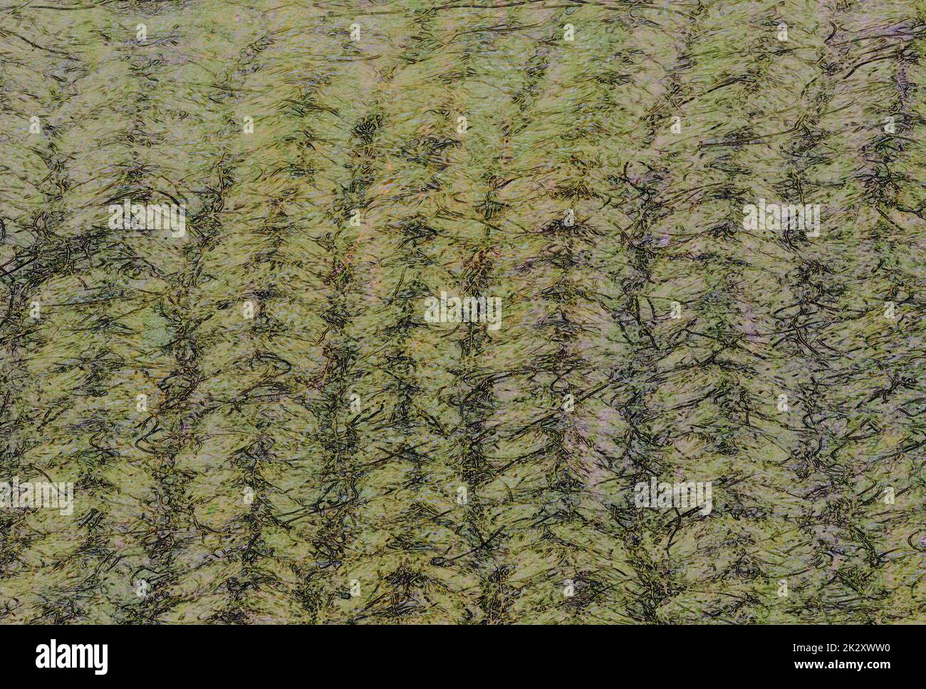 Abstract background with natural texture and irregular pattern Stock ...