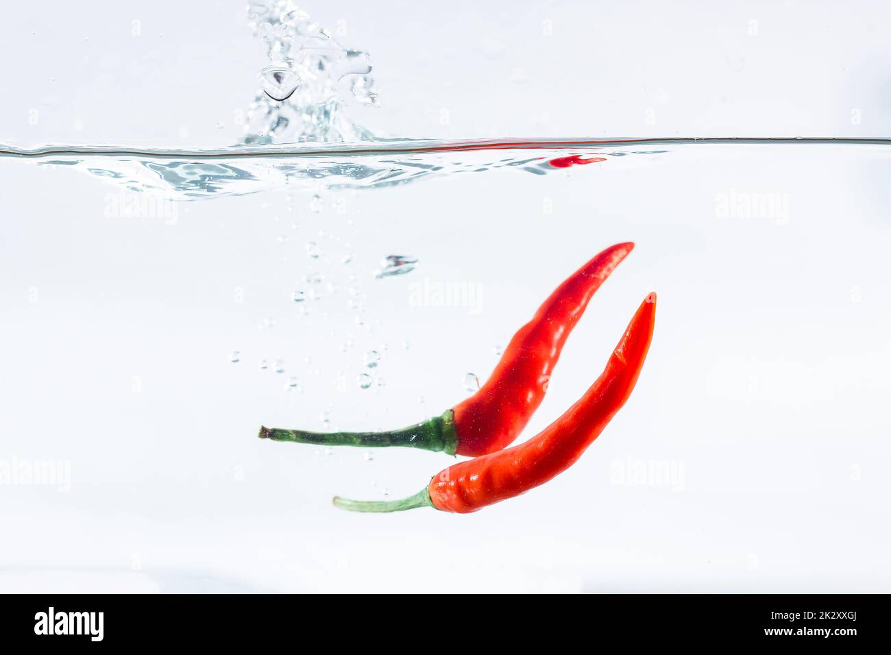 Red chilli, water splashes, solated on a white background Stock Photo ...