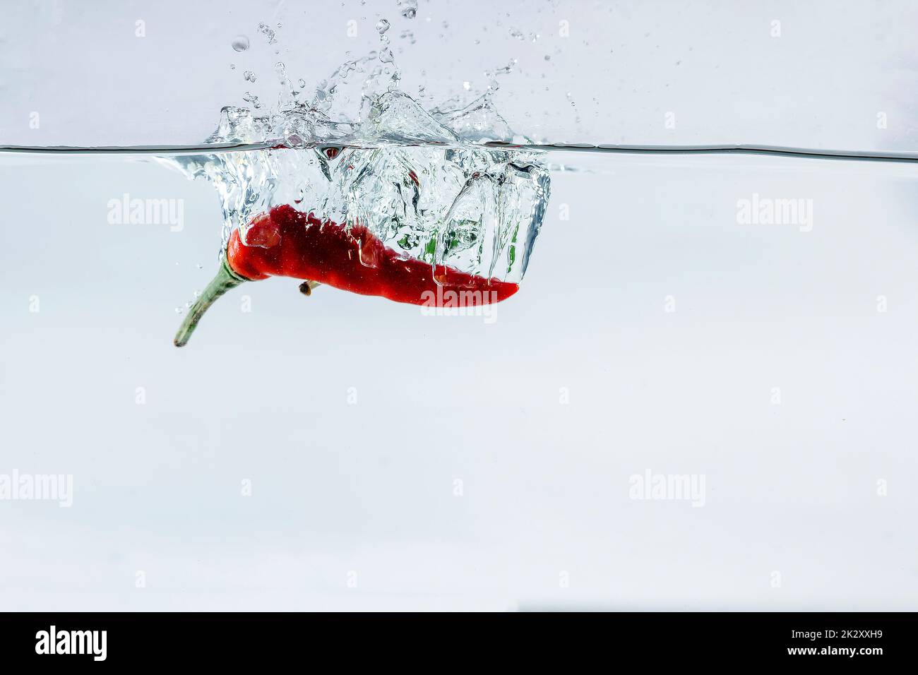 Red chilli, water splashes, solated on a white background Stock Photo ...